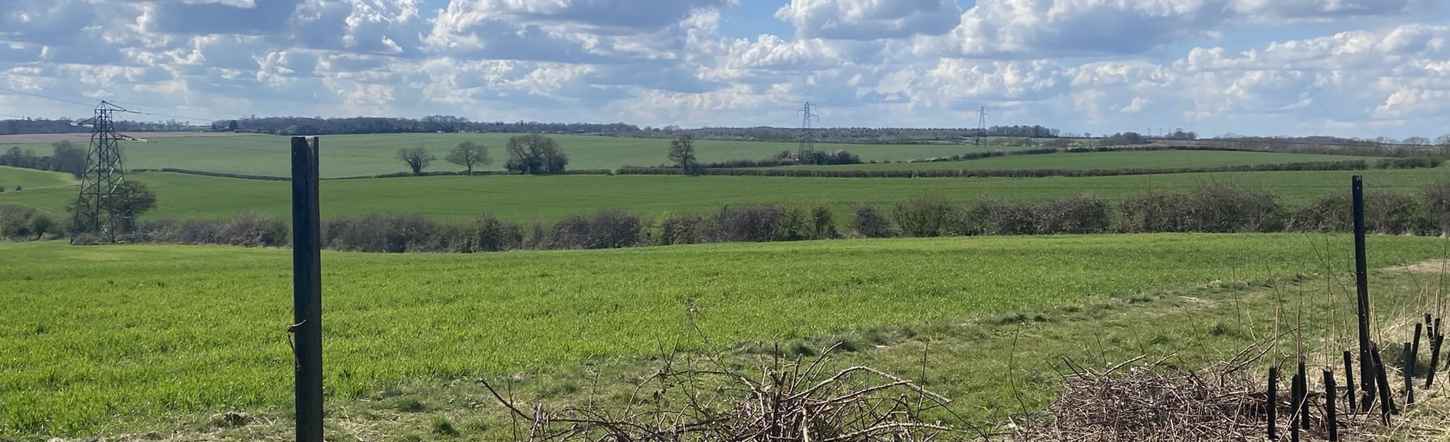 Bromham Circular, Bedfordshire, England - 14 Reviews, Map | AllTrails