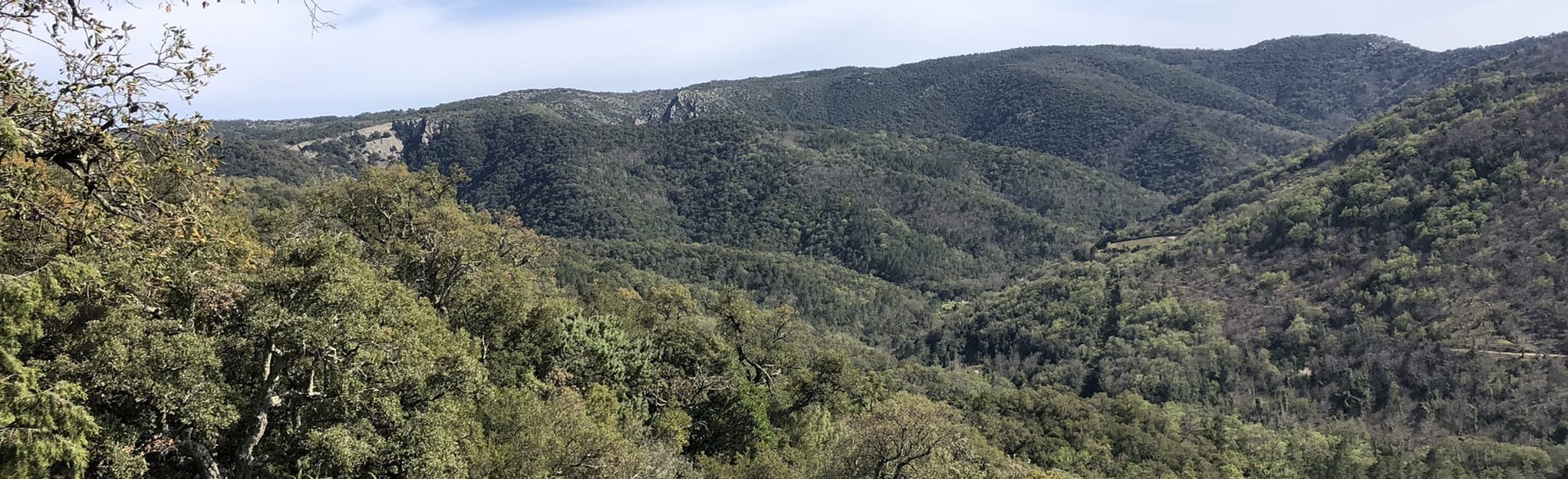 From Collobrières to Plateau Lambert: 22 Reviews, Map - Var, France ...