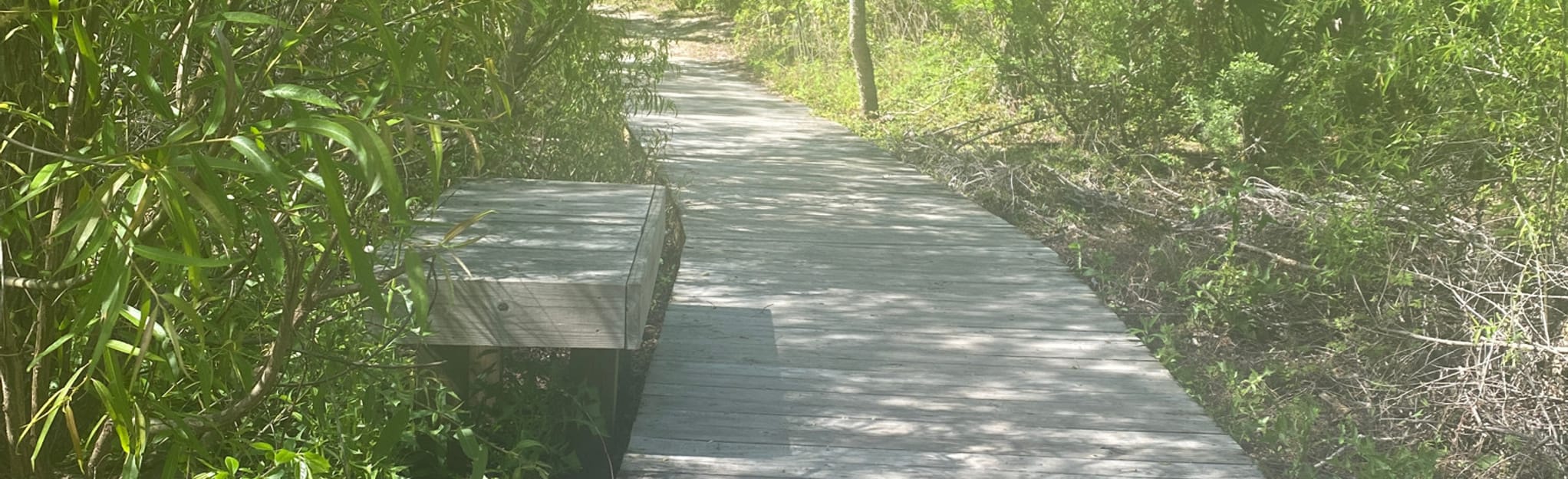 Sullivan’s Island Nature Trail, South Carolina - 105 Reviews, Map ...