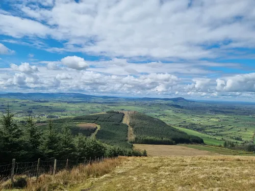 10 Best Trails and Hikes in County Limerick | AllTrails