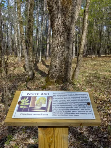 Best Hikes and Trails in Arlie Moore Recreation Area | AllTrails