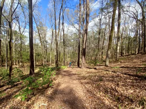 Best Hikes and Trails in Arlie Moore Recreation Area | AllTrails