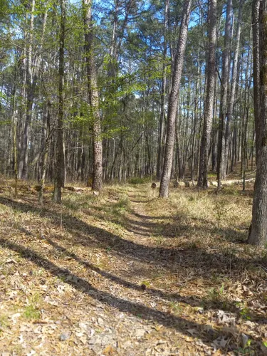 Best Hikes and Trails in Arlie Moore Recreation Area | AllTrails