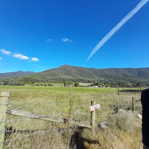 Smoko Streamside Reserve: de beste routes om te wandelen | AllTrails