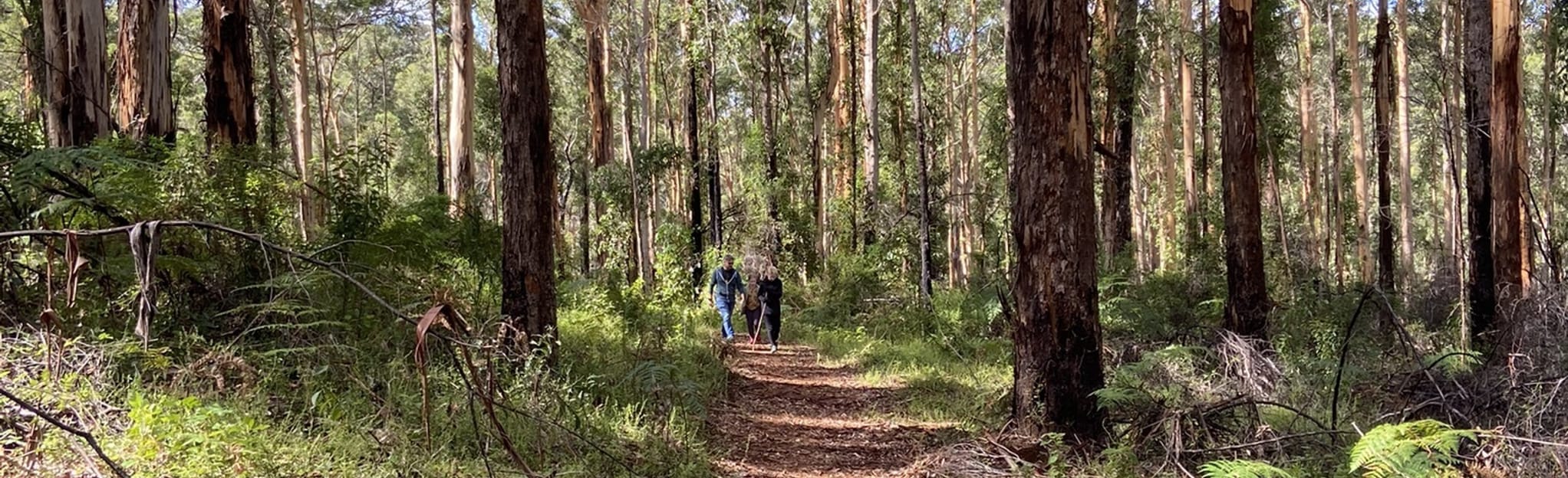 Four Aces to One Tree Bridge, Western Australia, Australia - 9 Reviews ...