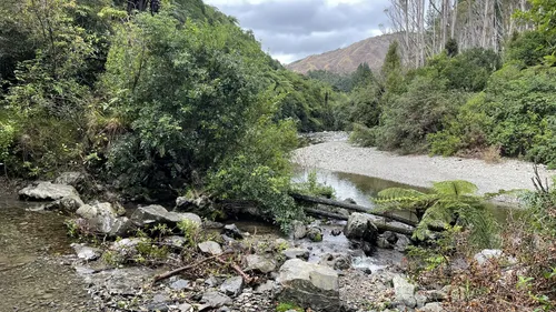 Best Mountain Biking Trails in Upper Hutt | AllTrails