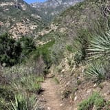 Gabrielino Trail to El Prieto Trail Loop, California - 296 Reviews, Map ...