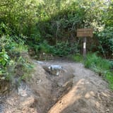 Gabrielino Trail to El Prieto Trail Loop, California - 303 Reviews, Map ...