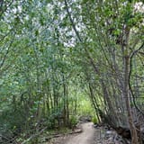 Gabrielino Trail to El Prieto Trail Loop, California - 303 Reviews, Map ...