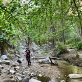 Gabrielino Trail to El Prieto Trail Loop, California - 318 Reviews, Map ...