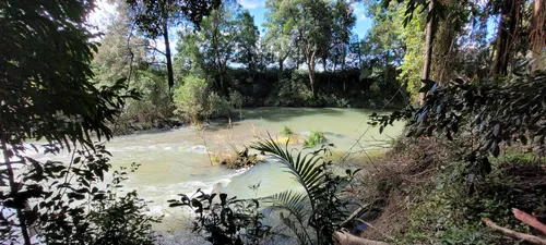 Best Hikes and Trails in Coramba Nature Reserve | AllTrails