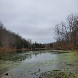 Saunders Springs Reservoir Loop, Kentucky - 132 Reviews, Map | AllTrails