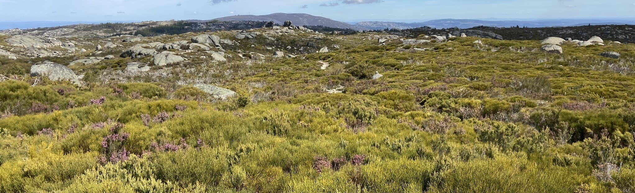 Rota da Nave da Mestra: 2 Reviews, Map - Guarda, Portugal | AllTrails