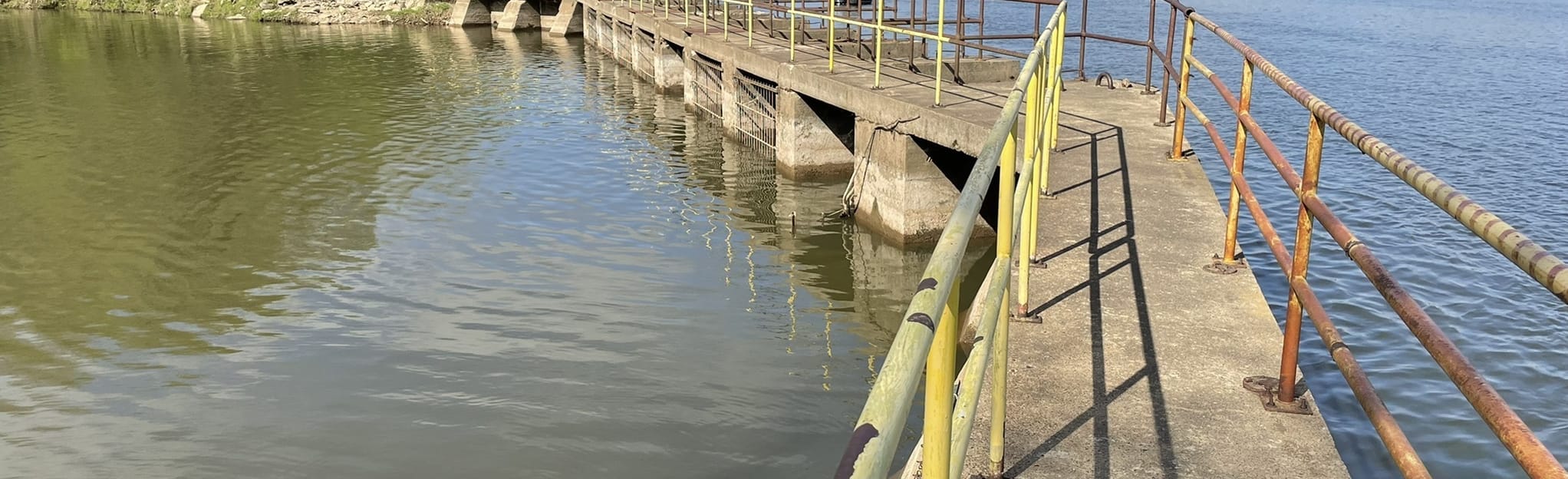 TVA Reservation Rock Pile: 185 Reviews, Map - Alabama | AllTrails