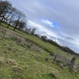 Erddig Park Circular, Wrexham, Wales - 157 Reviews, Map | AllTrails