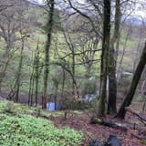 Erddig Park Circular, Wrexham, Wales - 157 Reviews, Map | AllTrails