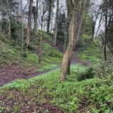 Erddig Park Circular, Wrexham, Wales - 157 Reviews, Map | AllTrails