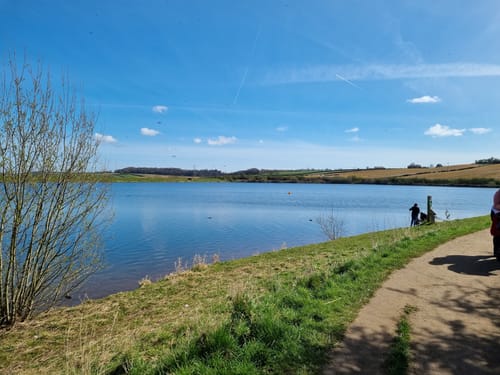 Best Hikes and Trails in Thrybergh Country Park | AllTrails