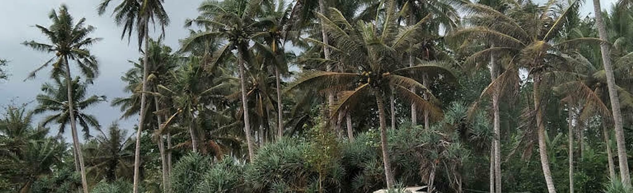 Lumbang Rock Beach, Bali, Indonesia - Map, Guide | AllTrails