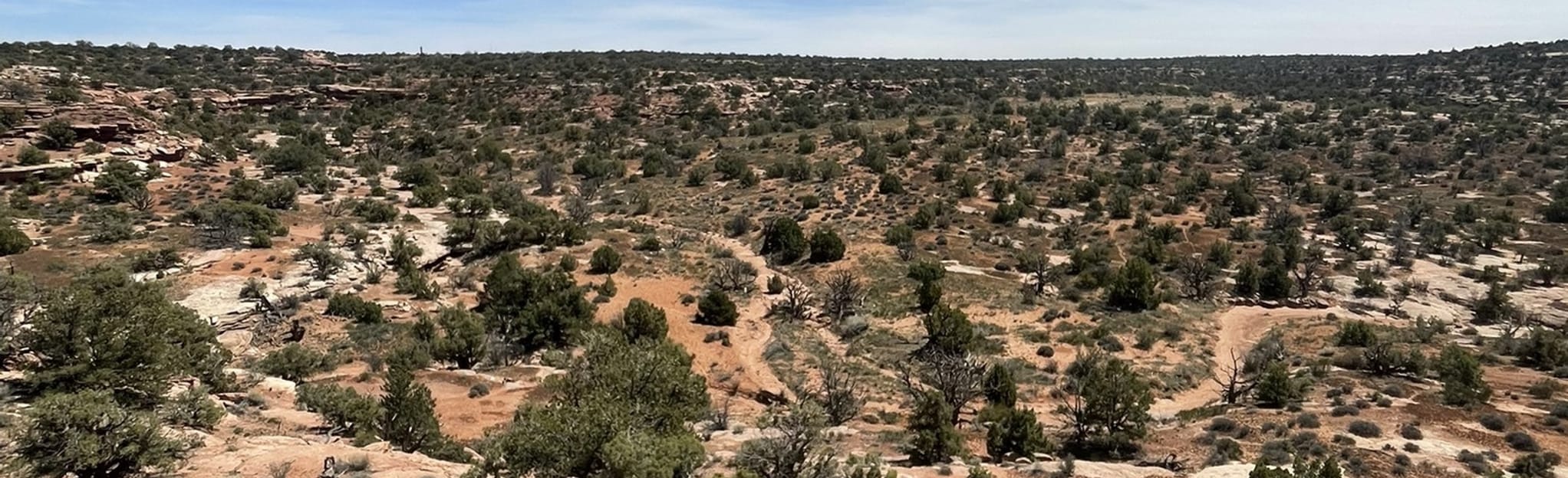 Chisholm Trail, Utah - 31 Reviews, Map | AllTrails