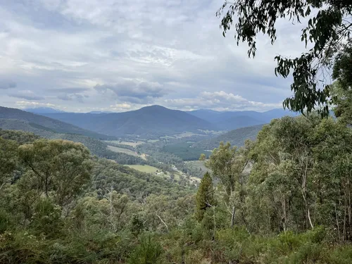 10 Best Trails and Hikes in Bright | AllTrails