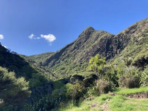 10 Best Camping Trails in Waitakere Ranges Regional Park | AllTrails