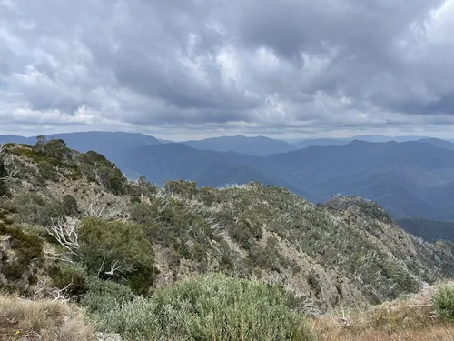 10 Best Trails and Hikes in Mount Buller | AllTrails