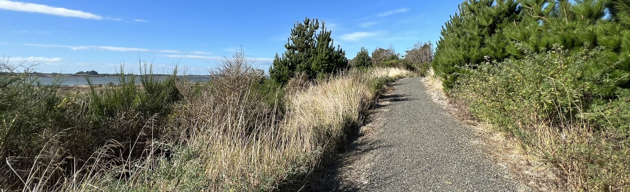Sandy Point Loop Walk: 16 foto's - Southland, Nieuw-Zeeland | AllTrails