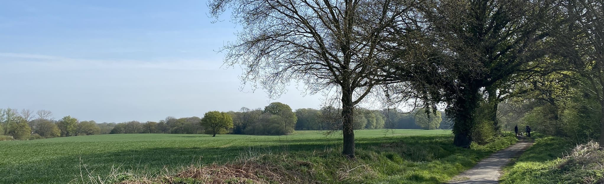 Little Bishop's Wood Circular, Essex, England - 13 Reviews, Map | AllTrails