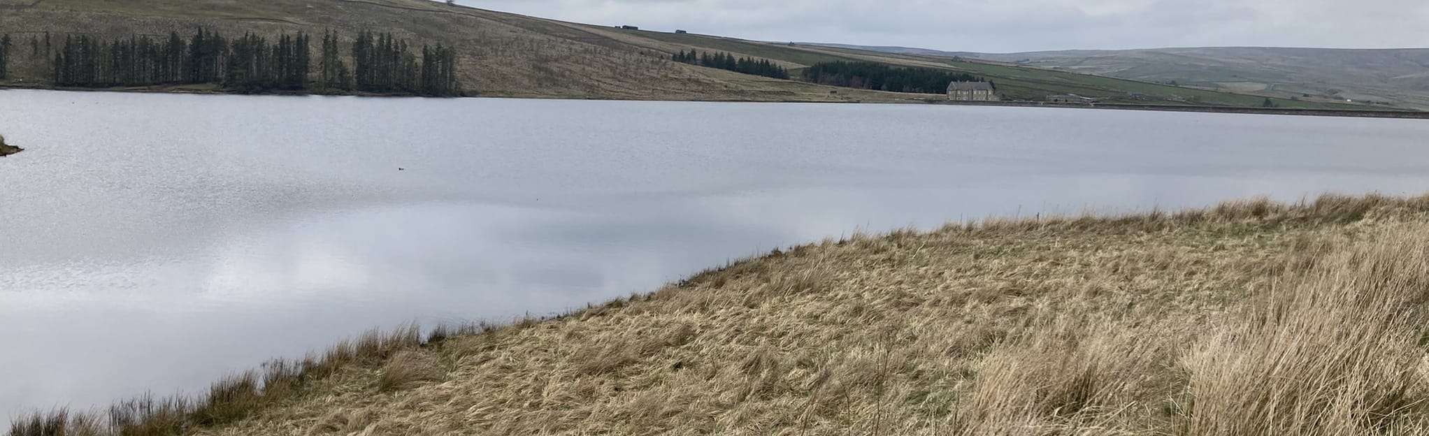 Burnhope Reservoir Circular: 14 Fotos - County Durham, England | AllTrails