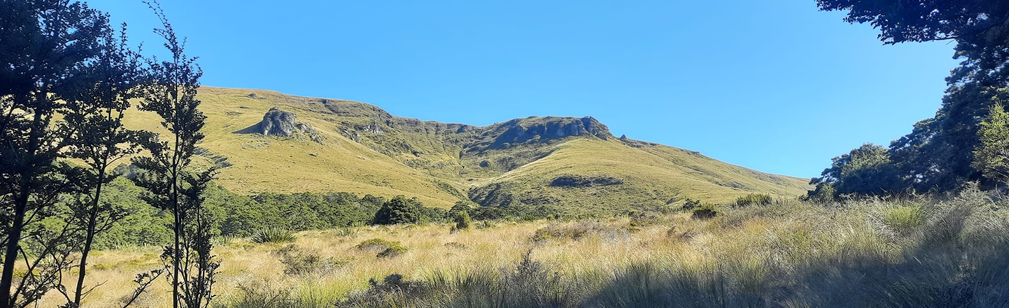 Titan Rocks Track, Southland, New Zealand - 5 Reviews, Map | AllTrails