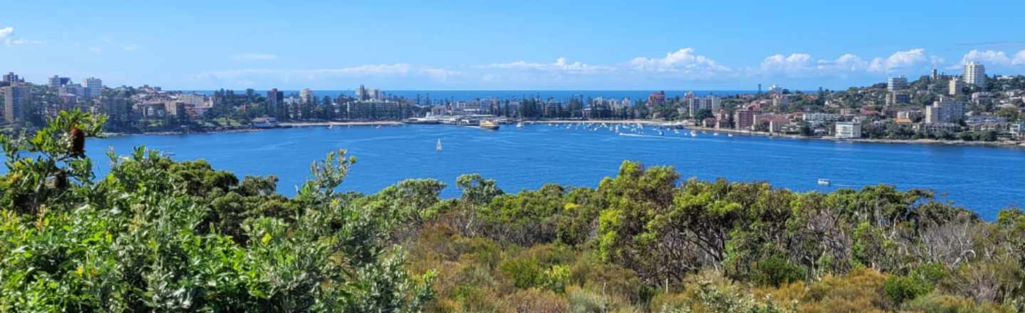 Orpheus Island Loop: 3 Reviews, Map - Queensland, Australia | AllTrails