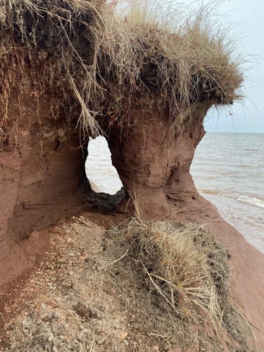 Best Hikes and Trails in Chelton Beach Provincial Park | AllTrails