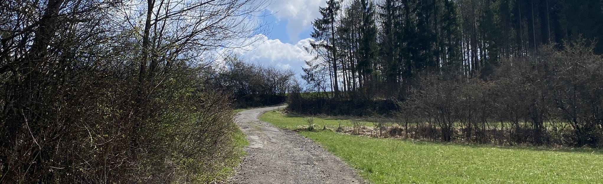 Pottenstein Circular: 38 Reviews, Map - Bavaria, Germany | AllTrails