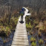 Beaver Brook Trail, Eastman Meadow Trail, and Maple Hill Ridge Loop ...