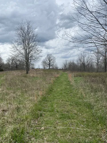 2023 Best Wild Flowers Trails in Ash Grove | AllTrails