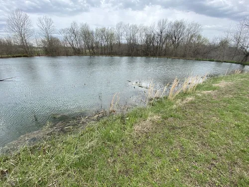 2023 Best Wild Flowers Trails in Ash Grove | AllTrails