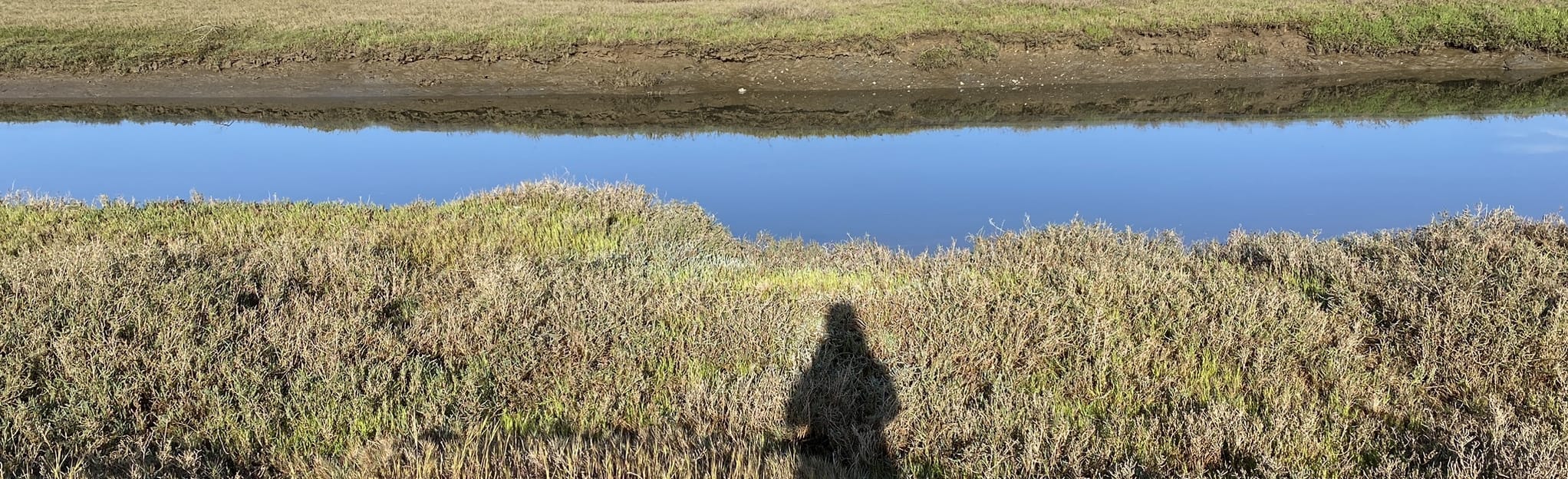 Bird Walk: 177 Reviews, Map - California | AllTrails