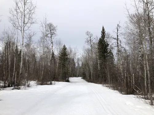 Best Short Trails in Pembina Rotary Community North Trails | AllTrails