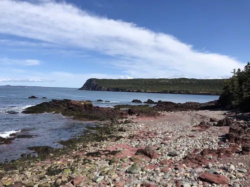 2023 Best Beach Trails in Norman's Cove-Long Cove | AllTrails
