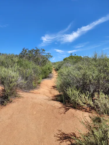Best Hikes and Trails in Crestridge Ecological Reserve | AllTrails