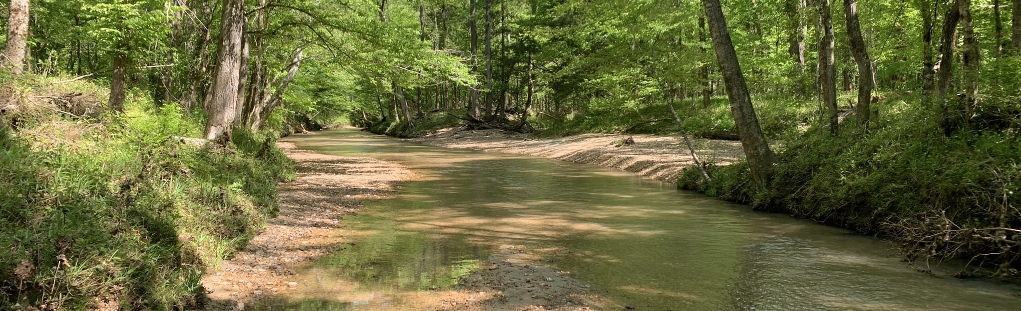 Rocky Springs Campground Trail: 37 Reviews, Map - Mississippi | AllTrails