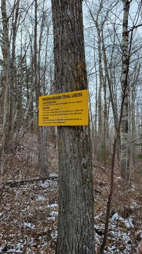 Best Hikes and Trails in Bittern Lake | AllTrails