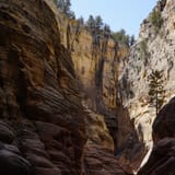 Bull Valley Gorge Trail, Utah - 196 Reviews, Map | AllTrails