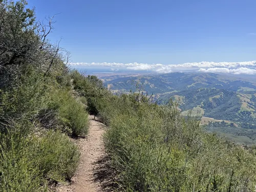 Best Kid Friendly Trails in Mount Diablo State Park | AllTrails