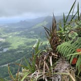 Moanalua Valley and Tripler Ridge Trail Loop, Oahu, Hawaii - 191 ...