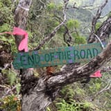 Moanalua Valley and Tripler Ridge Trail Loop, Oahu, Hawaii - 191 ...