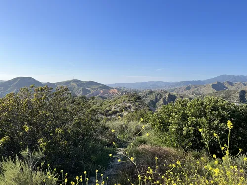 10 Best Hikes and Trails in Whiting Ranch Wilderness Park | AllTrails