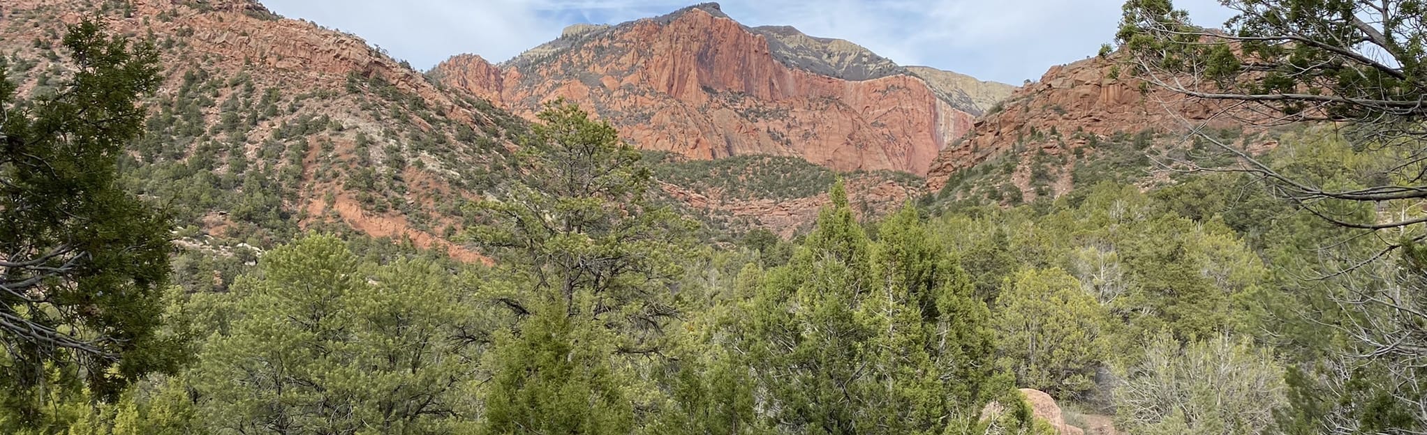 Middle Fork Taylor Creek Trail, Utah - 2,957 Reviews, Map | AllTrails