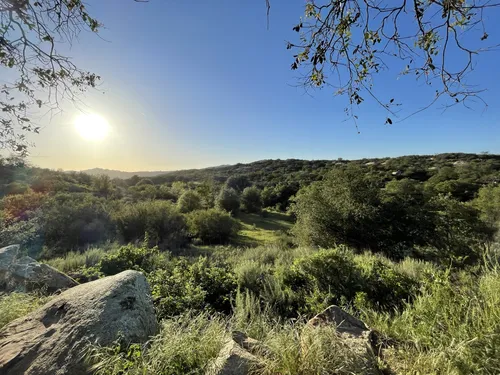 10 Best Hikes and Trails in Daley Ranch | AllTrails